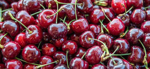 Buy BC | Government of British Columbia