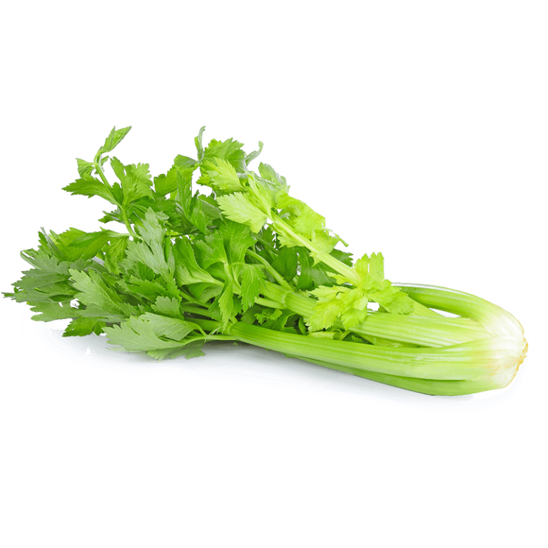 Celery - Buy BC