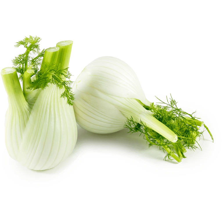 Fennel - Buy BC