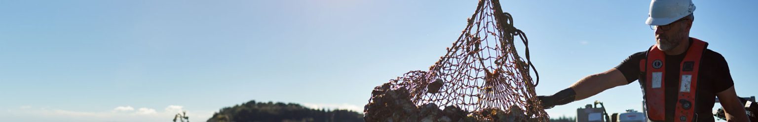 Buy BC resources - Buy BC