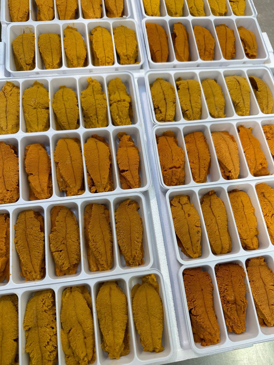 Fish Roe: Fresh Sea Urchin - Buy BC